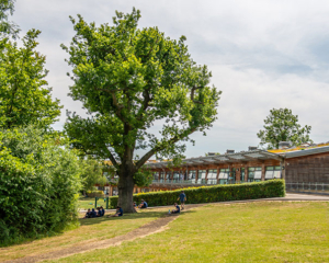 Saracens Broadfields Primary School
